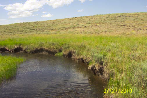 Logan Valley Mitigation Project | Burns Paiute Tribe – Department of ...